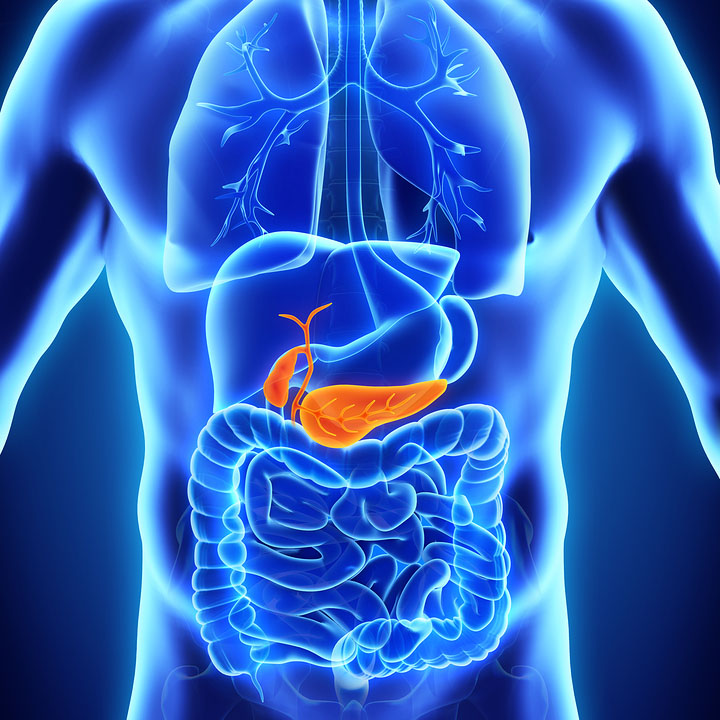 THE GALL BLADDER!!! – Dr Kate's Best